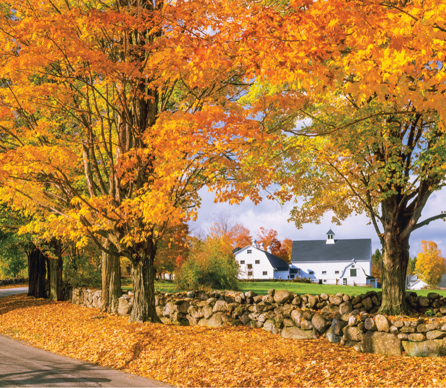 The Perfect Autumn Weekend - Around Concord