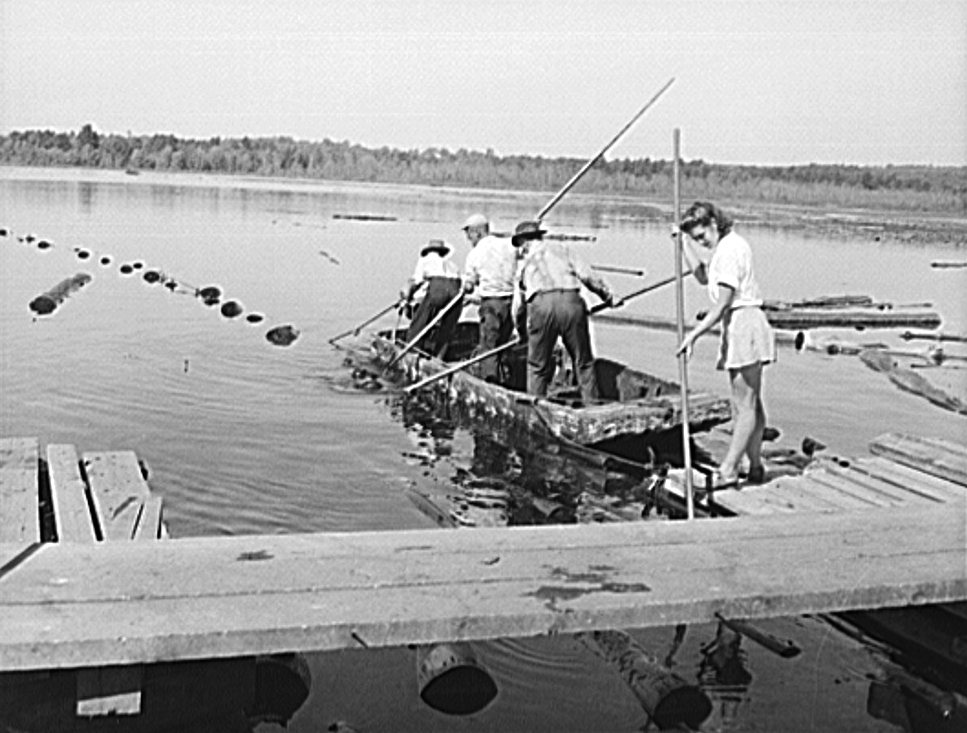 History: 'Lumber Jills' of Turkey Pond - Around Concord
